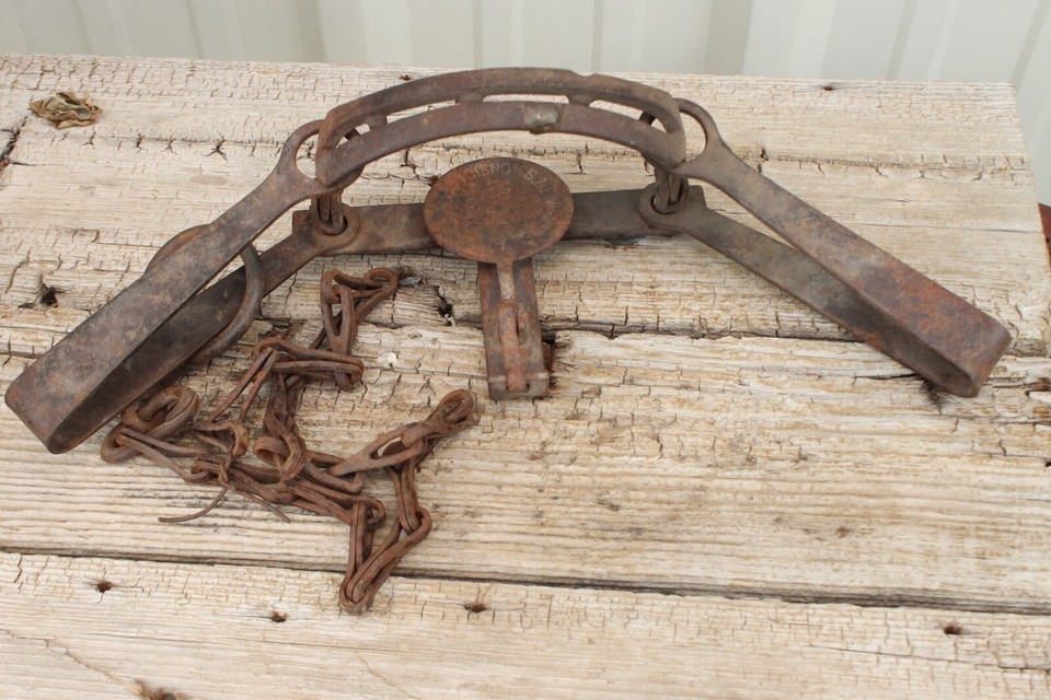 ~~ VINTAGE ONEIDA NEWHOUSE #14 DOUBLE LONG SPRING TRAP WITH CHAIN ...