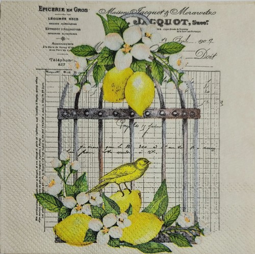 TWO Individual Paper Cocktail Decoupage Napkins - 2398 Lemon Birdcage w ...