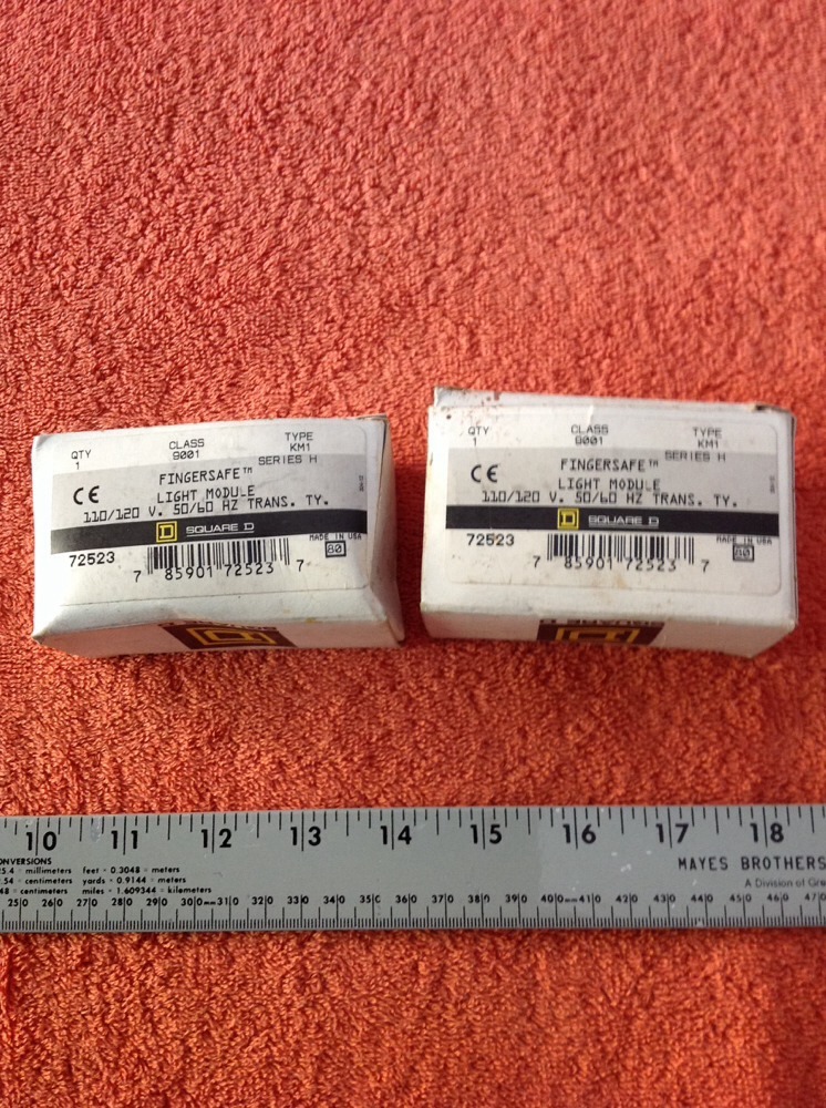 Square D FingerSafe Light Module 7253 Series H 110/120V | eBay