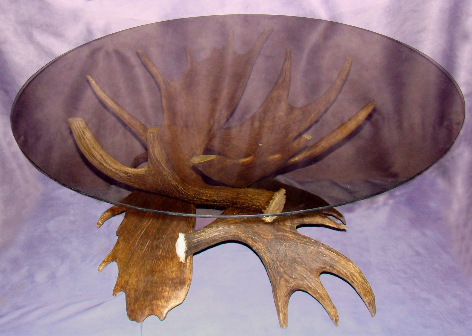 REAL ANTLER, 4 REAL MOOSE ANTLERS TABLE BASE, FURNITURE, CHANDELIER | eBay