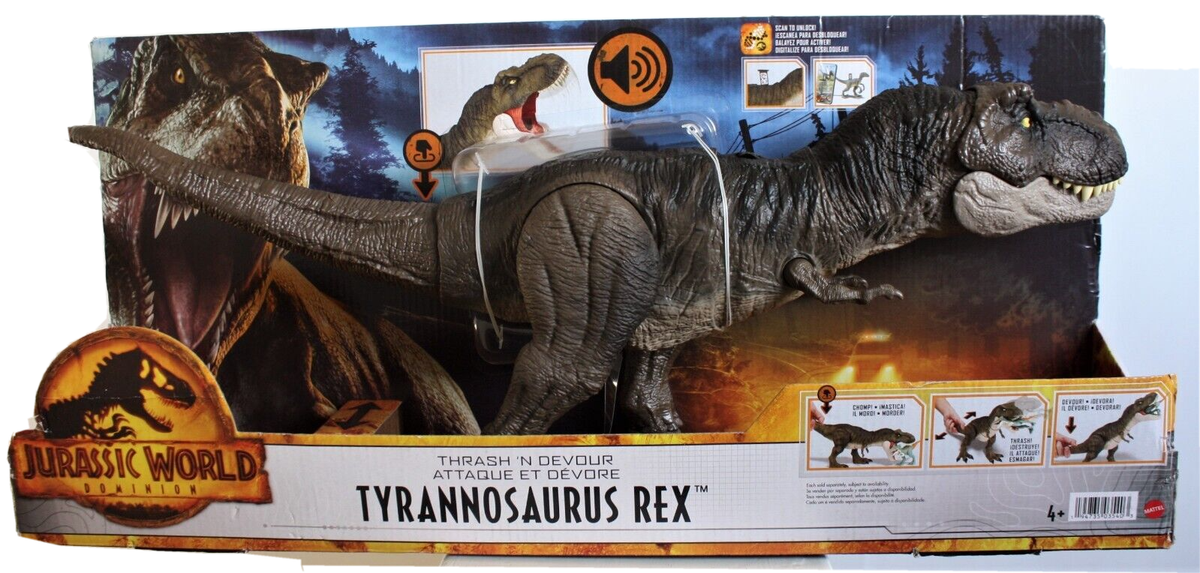 Nacin Rex
