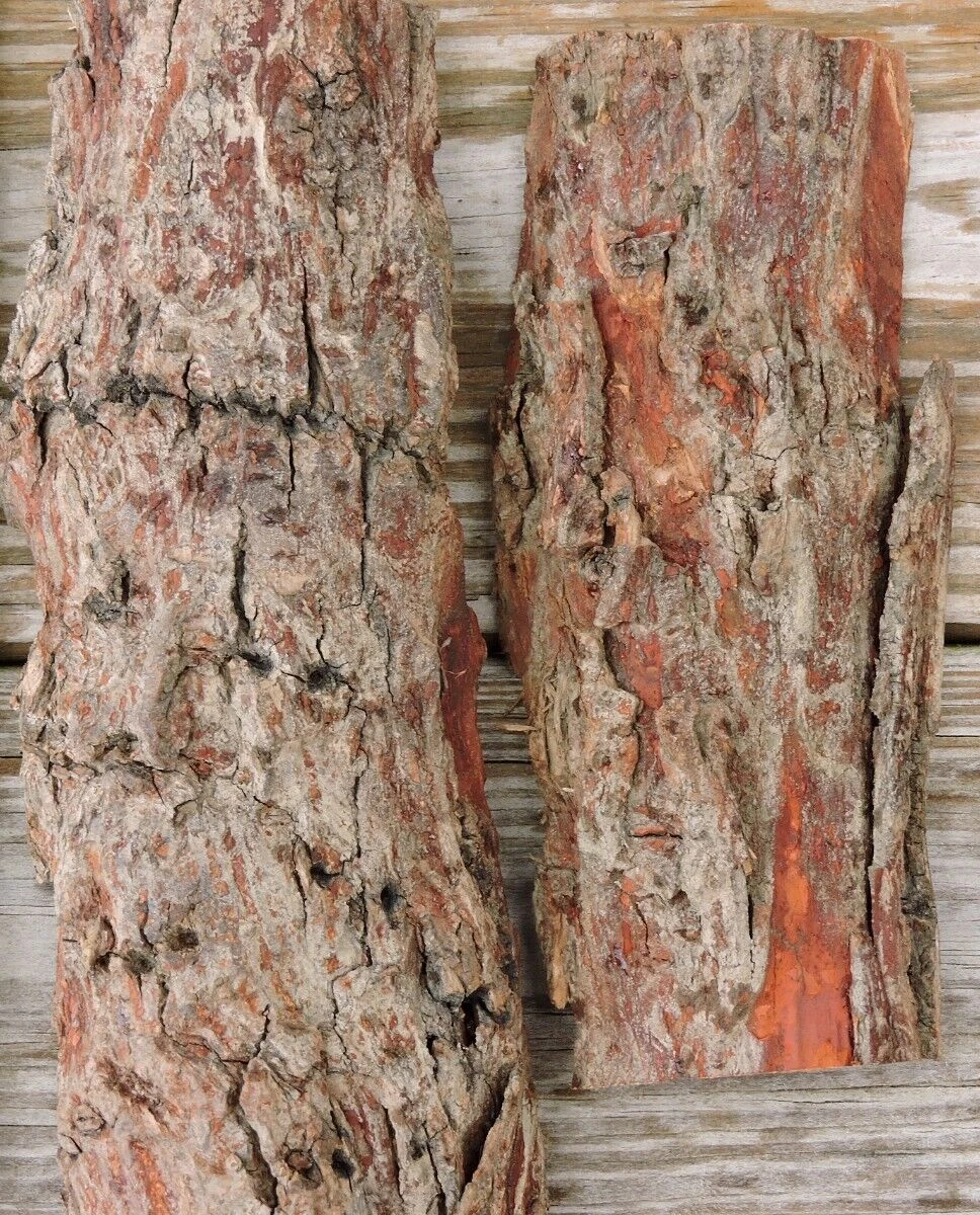 Crafts Made With Tree Bark
