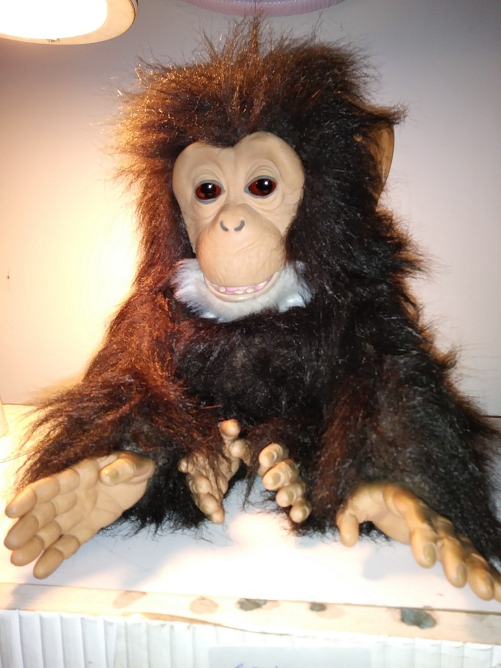 Fur Real Furreal Cuddle Chimp Chimpanzee Interactive Plush Realistic ...