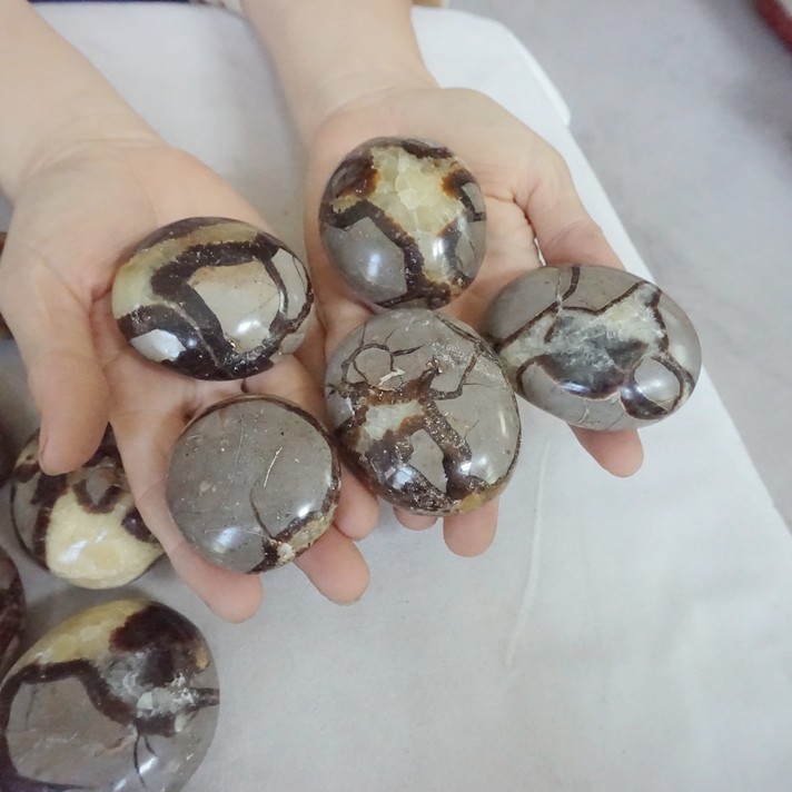 10.4LB 40Pcs Natural Dragon Septarian Geode Quartz Cluster Crystal Palm ...
