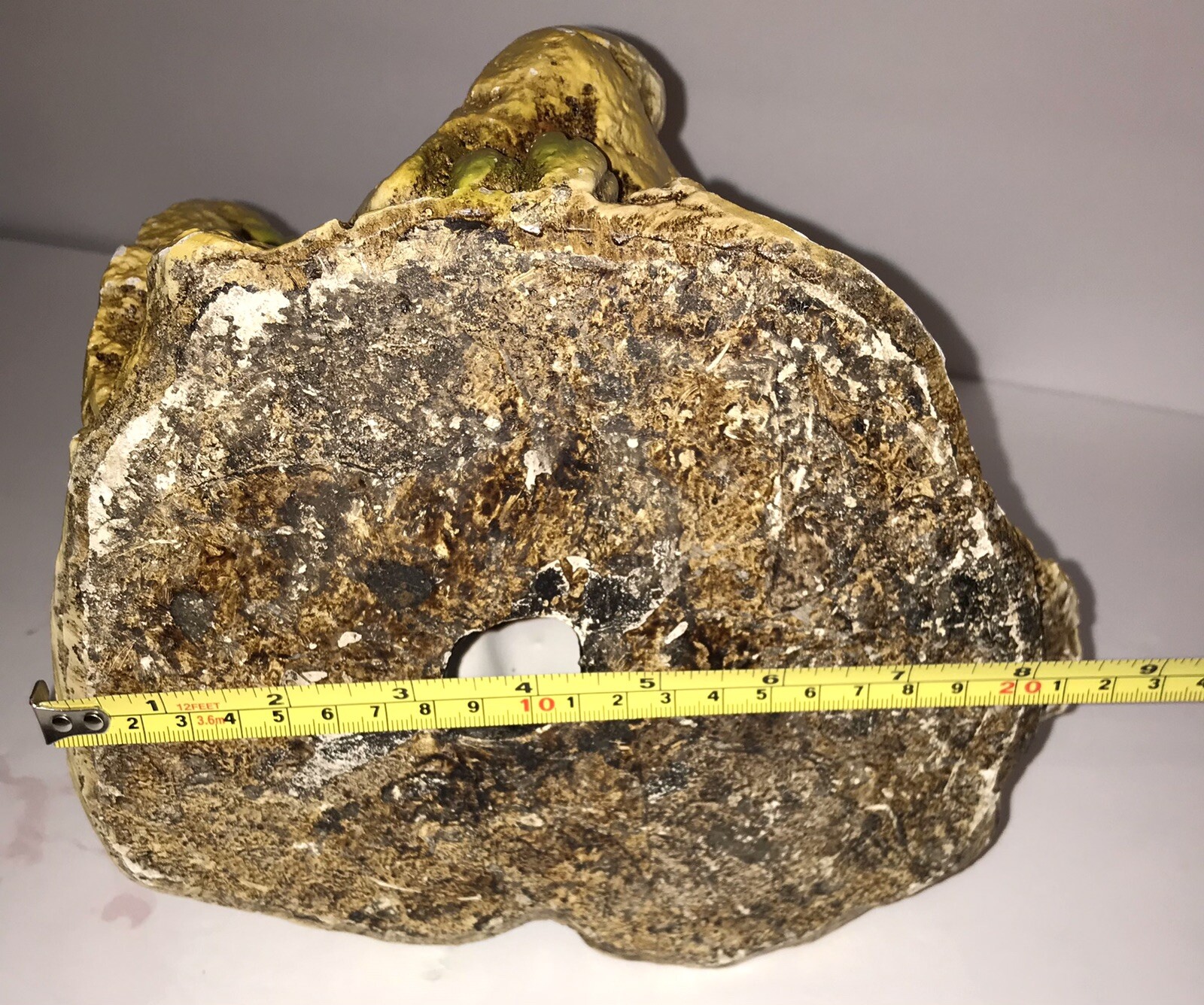 Vintage Indian Maiden Squaw Papoose Chalk ware Statue Native American ...