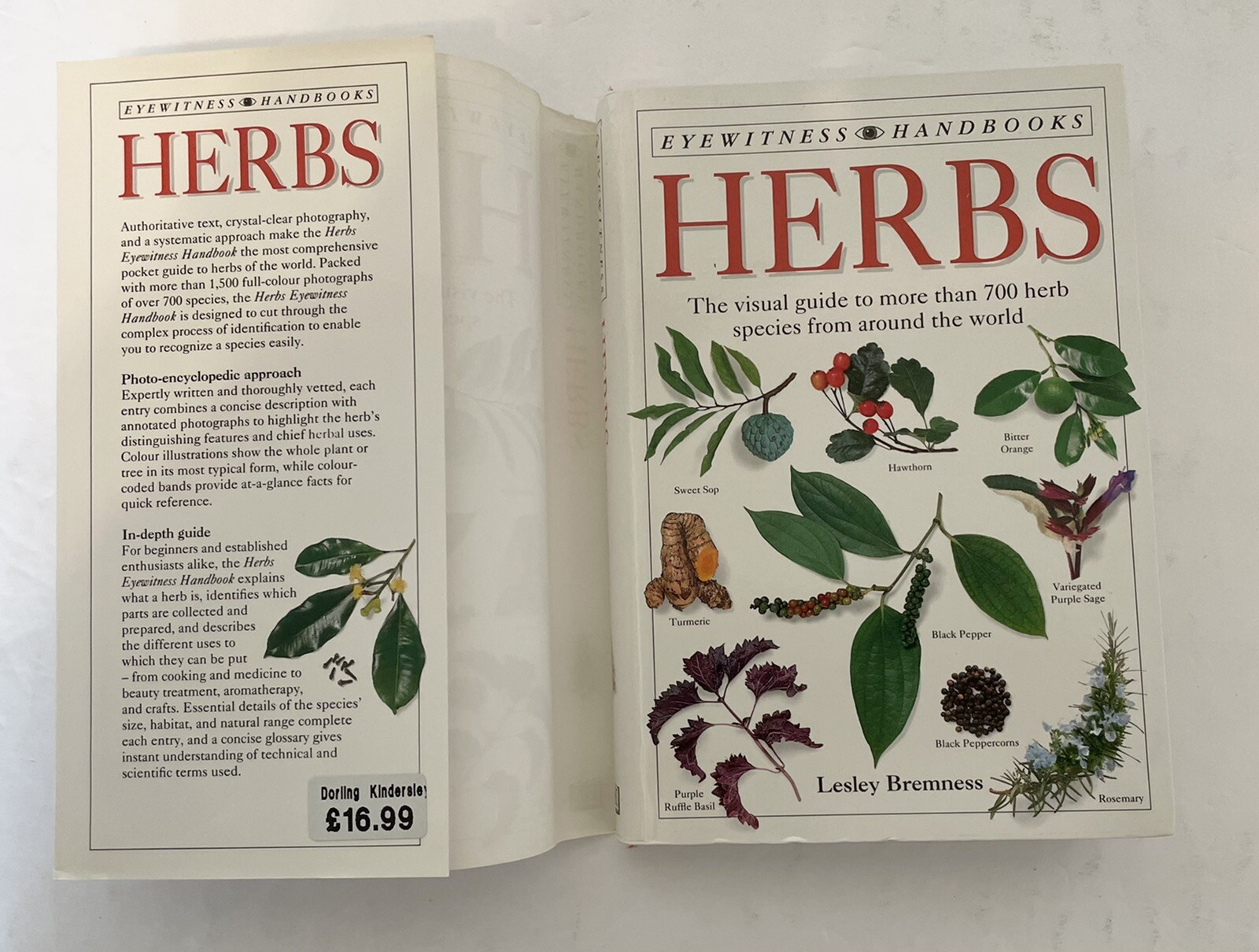 Herbs Eyewitness Handbook Guide Book 700 More Herb Species Lesley ...