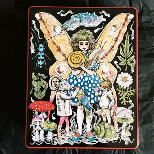 Yuko Higuchi x Holbein Tool Box Odougubako 1st Design 2013 Rare JAPAN ...