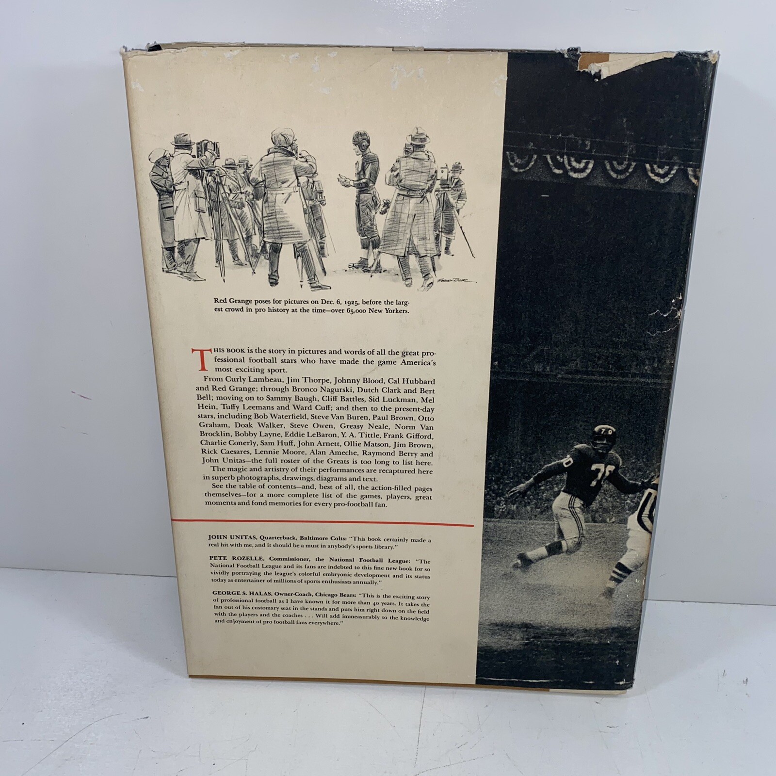 THE PROS A Documentary Of Professional Football Robert Riger 1st/1st W ...