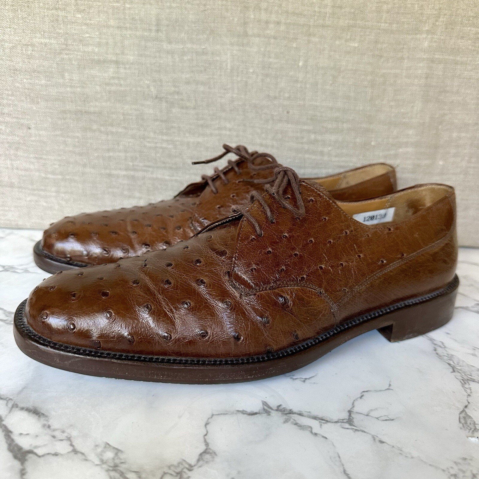 MEZLAN Platinum Genuine Ostrich Leather Brown Derby D… - Gem