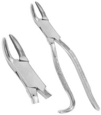 9.5" Wolf tooth Incisor Caps Extraction Forceps | eBay