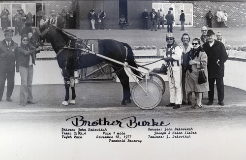 1977 Horse Harness Racing Freehold Raceway New Jersey Race Photos ...
