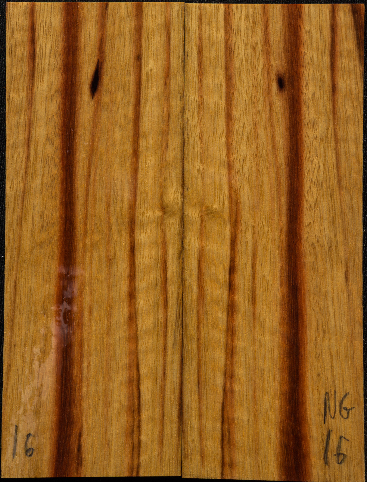 Nargusta Knife Scales #16 | eBay