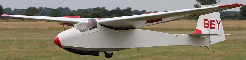 T-45 Swallow Slingsby Glider T45 Airplane Wood Model Replica Big Free ...