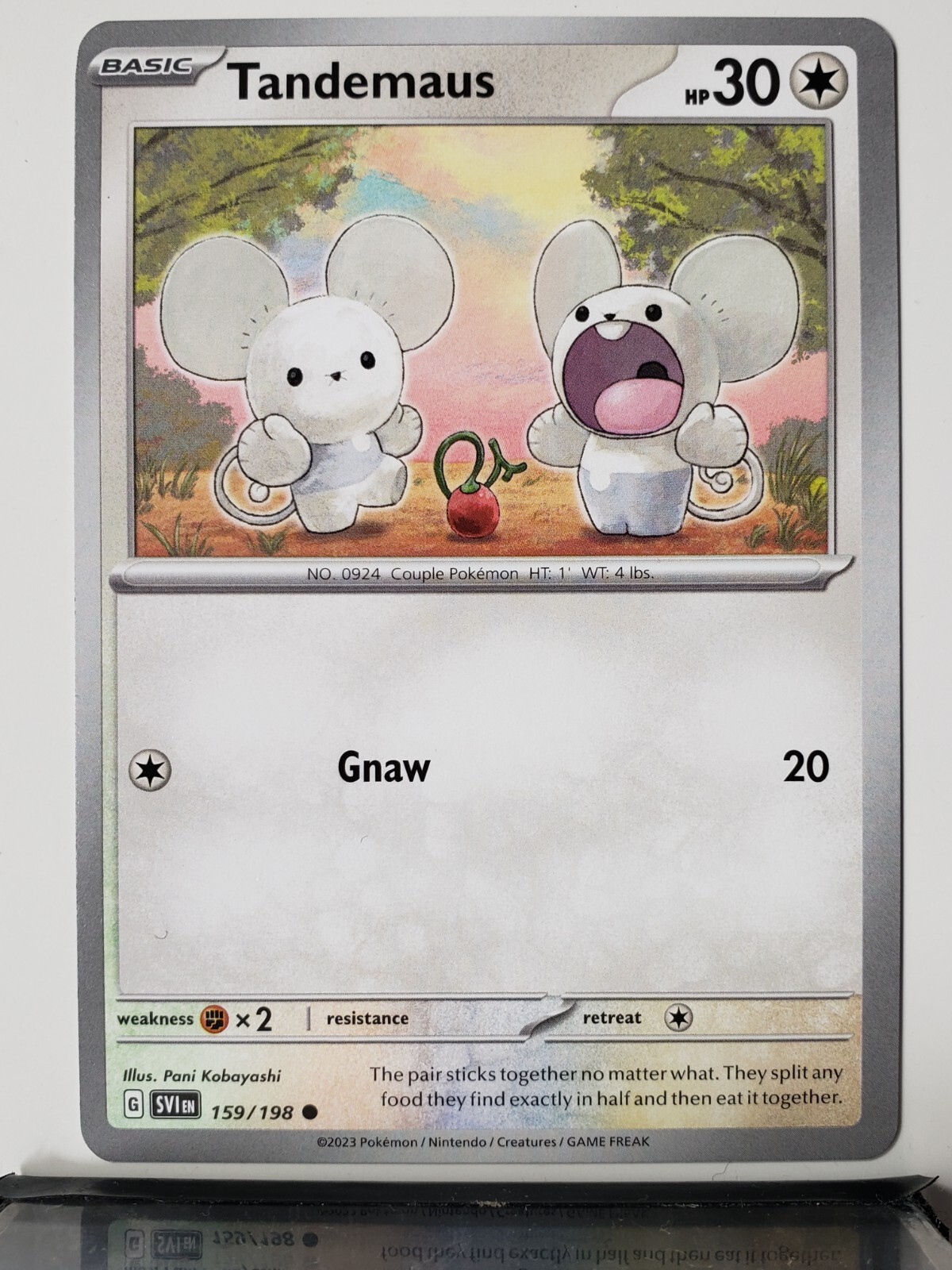 Tandemaus 159/198 - NM / M - Scarlet Violet Pokemon Card - $2 Combined ...