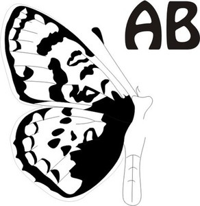 Aleks_Brown_Insects | eBay Stores