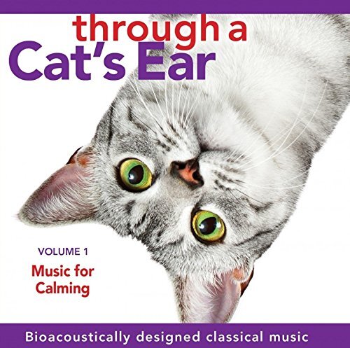 LISA SPECTOR JOSHUA LEEDS - Through A Cat's Ear, Volume 1: Music For VG ...