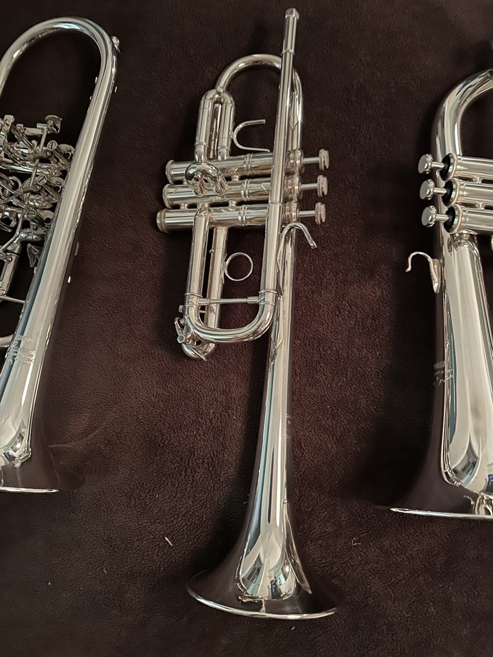 Professional Trumpets For Sale All Price Differently. Multiple ...