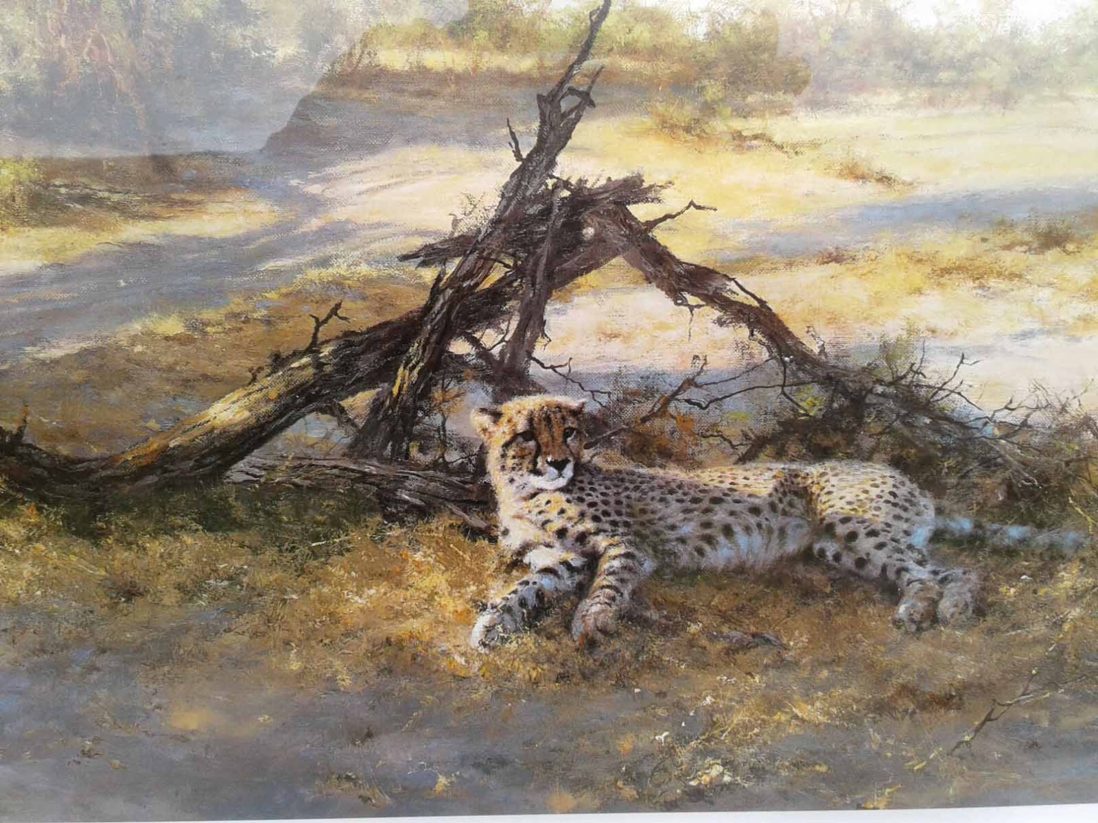 DAVID SHEPHERD “SAVUTI SANDS” - FRAMED & SIGNED PRINT - 400/1000 LIMITED EDITION | eBay UK