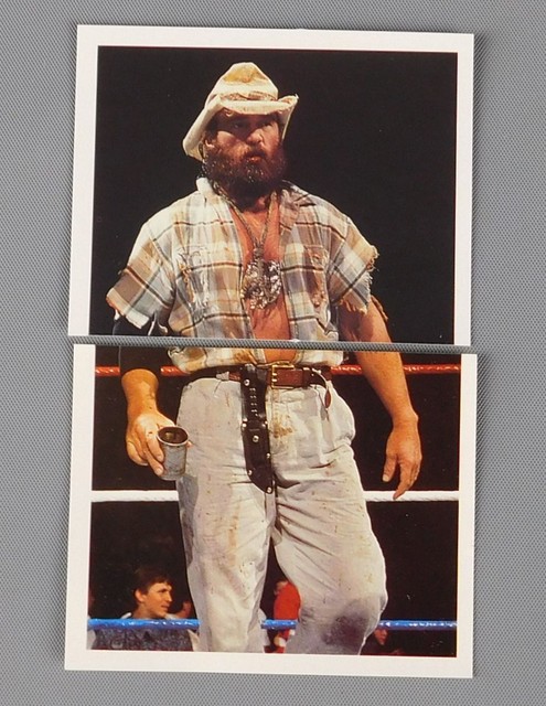 Skinner WWF Merlin Sticker Card Wrestling Wrestler WCW WWE 1992 1 | eBay