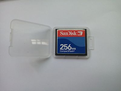 Sandisk 256MB Compact Flash Card 256MB CF Memory card SDCFJ/SDCFB | eBay