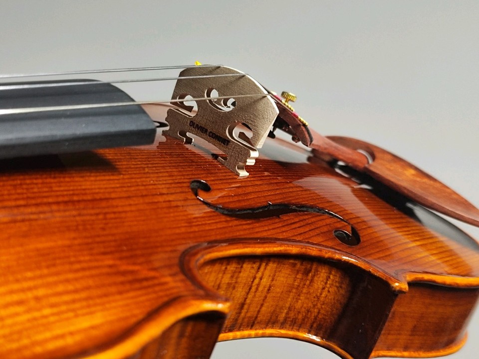 Modern Violin - Violin - Firenzi Model - 4/4 | eBay