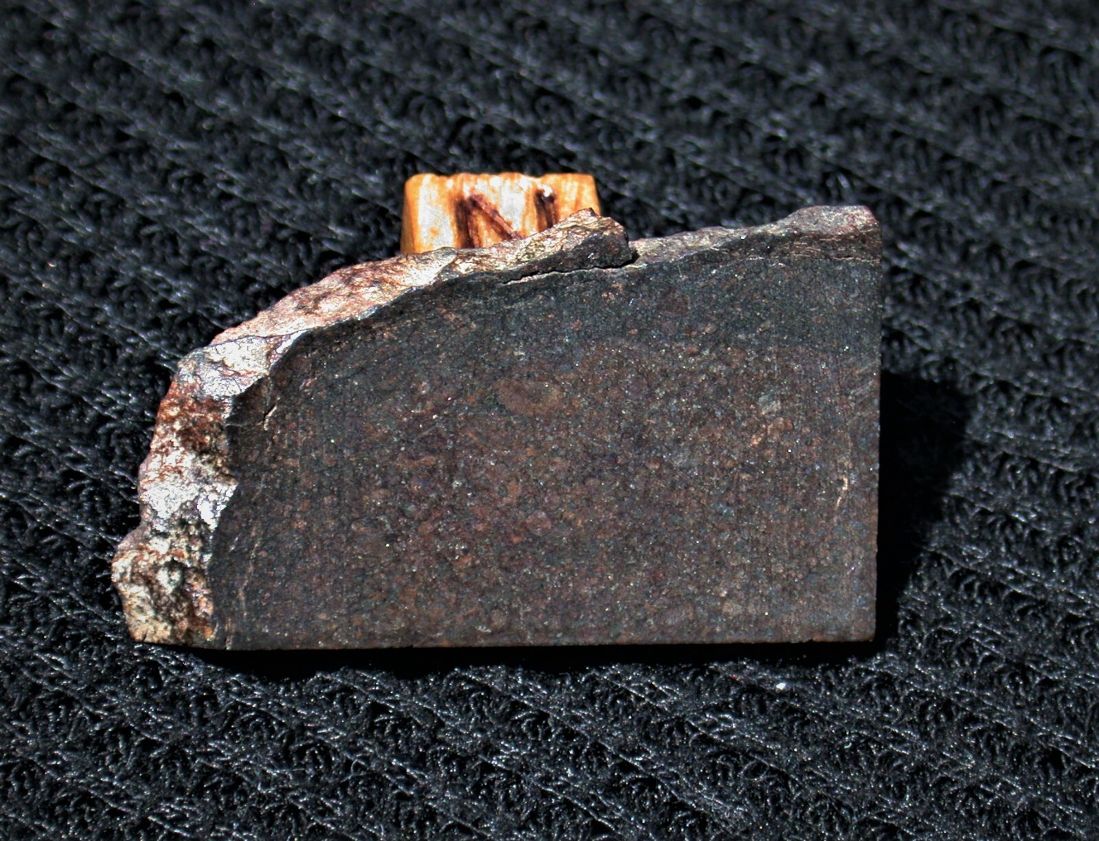 NWA 15203 (H3) meteorite part slice - 8.1 g (W1/S2) | eBay