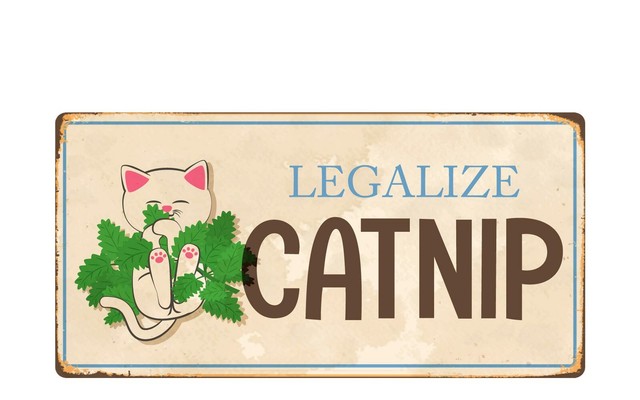 2166HS Legalize Catnip 5"x10" Novelty Sign | eBay