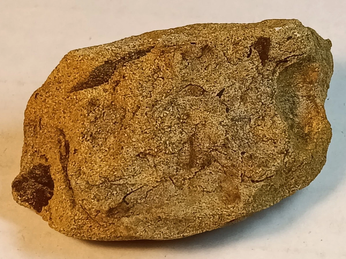 Travertine Rock Sample