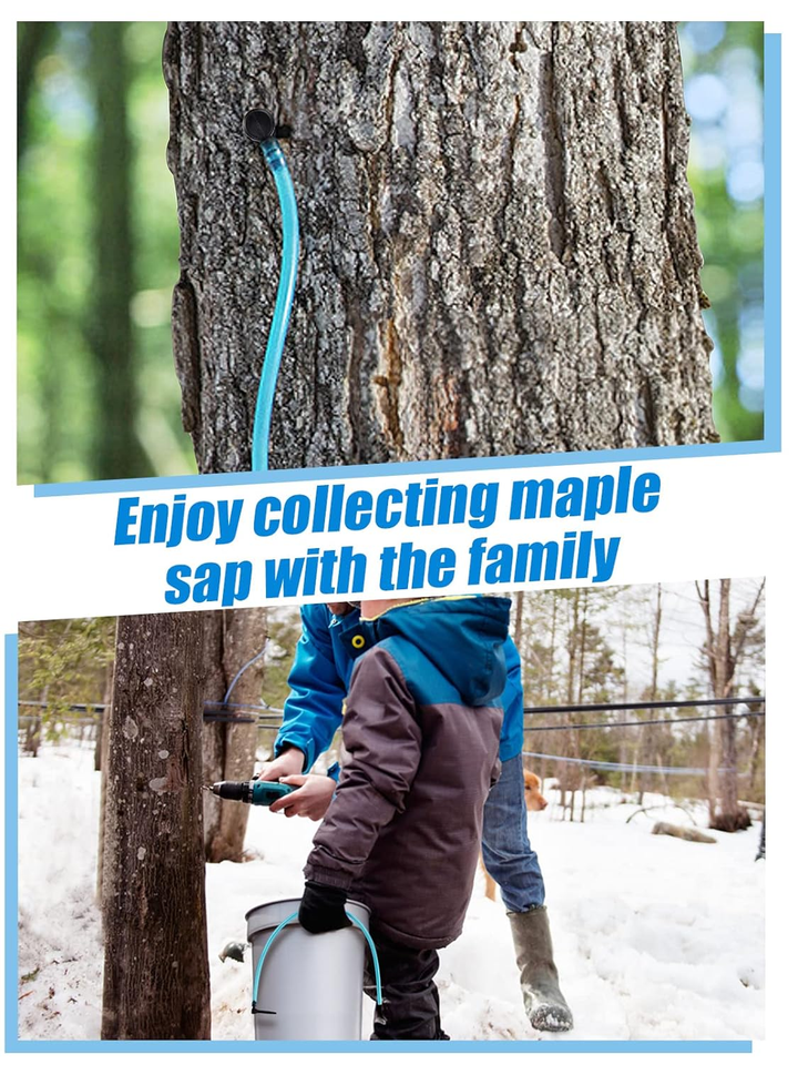 20Set Maple Syrup Tapping Kit - Tree Taps and Food 20 Count (Pack of 1 ...