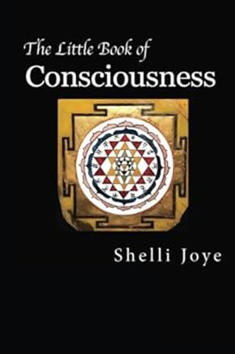 The Little Book of Consciousness : Pribram's Holonomic Mind/Brain ...