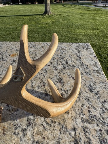 Rustic Hunter's 10 Point Stag Deer Antler Coat/Hat/Key Rack | eBay