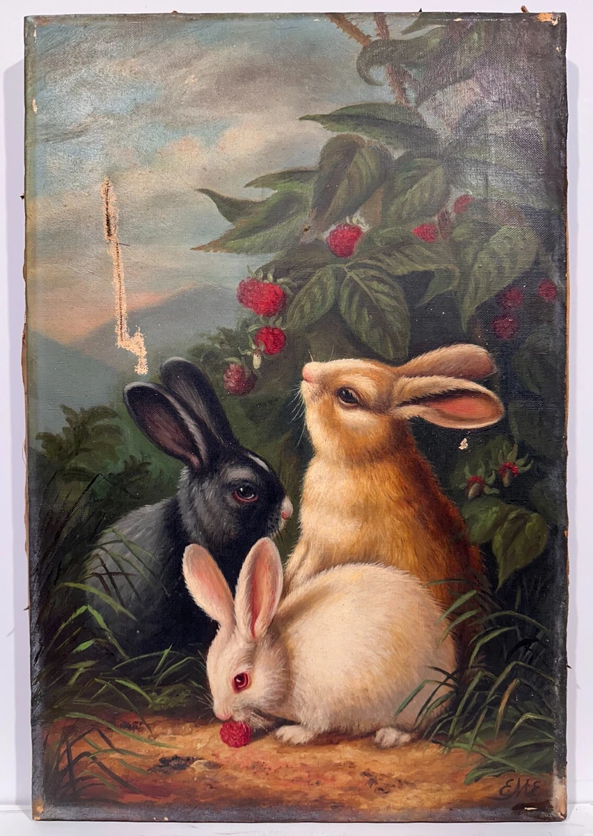 Vintage Rabbit