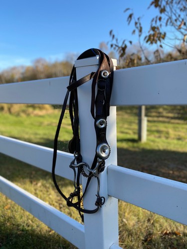 Vintage Oversized Silver Concho Horse Parade Bridle with Curb Bit ...