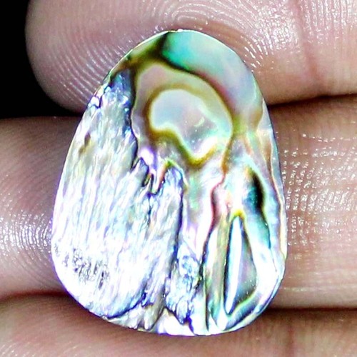 100% Natural 26.75 CT ABALONE SHELL FANCY Cabochon 20X26X6 mm Loose ...