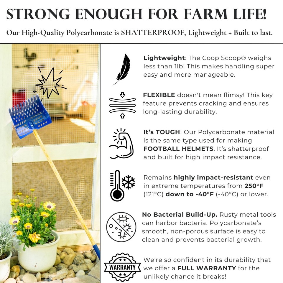 The Coop Scoop® 2-In-1 Chicken Poop Scooper & Rake – Durable Sand ...