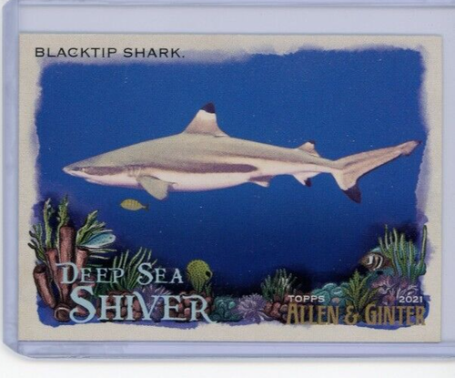 2021 Topps Allen & Ginter Deep Sea Shiver Insert #DSS-8 Blacktip Shark ...