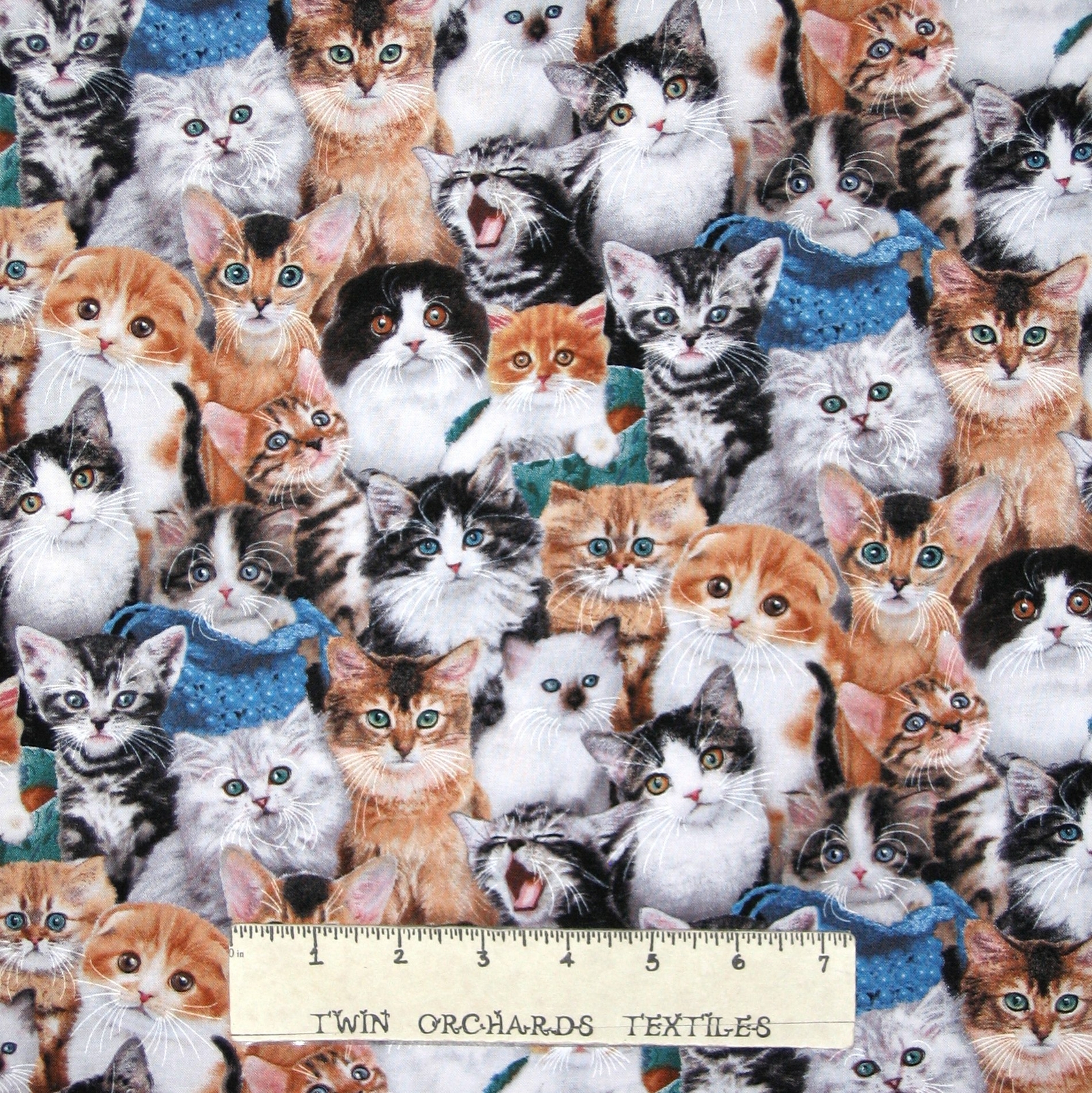 Multi Cats & Kitten Breeds Elizabeth's Studio Cotton Fabric #5749 by ...