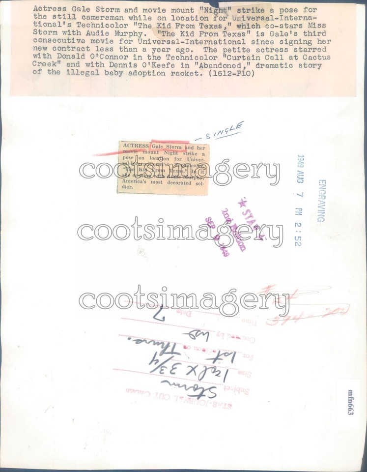 1949 Press Photo Lovely Actress Gale Storm w Horse Kid From Texas 1940s ...