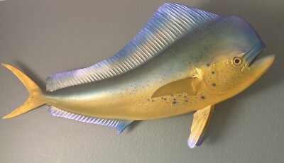 50" Bull Dolphin / Mahi Mahi Fish Decor Beautifully Hand Crafted In ...