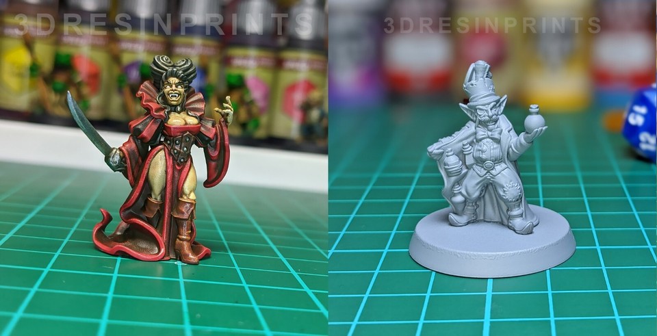 WIZARD LIBRARIAN MAGE || D&D, Frostgrave, 3D Print Resin Miniature 28mm ...