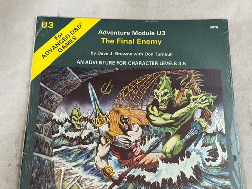 Sealed TSR 1983 D&D Dungeons and Dragons Module U3 The Final Enemy 9076 ...