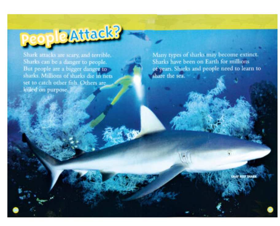 National Geographic Kids Sharks! by Anne Schreiber NEW Paperback Level ...