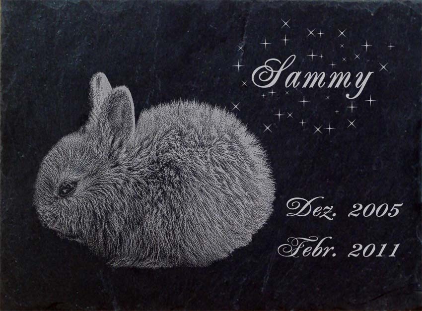 TIERGRABSTEIN Grabstein Grabmal Kaninchen Hase-002 LASER- Textgravur 20 ...