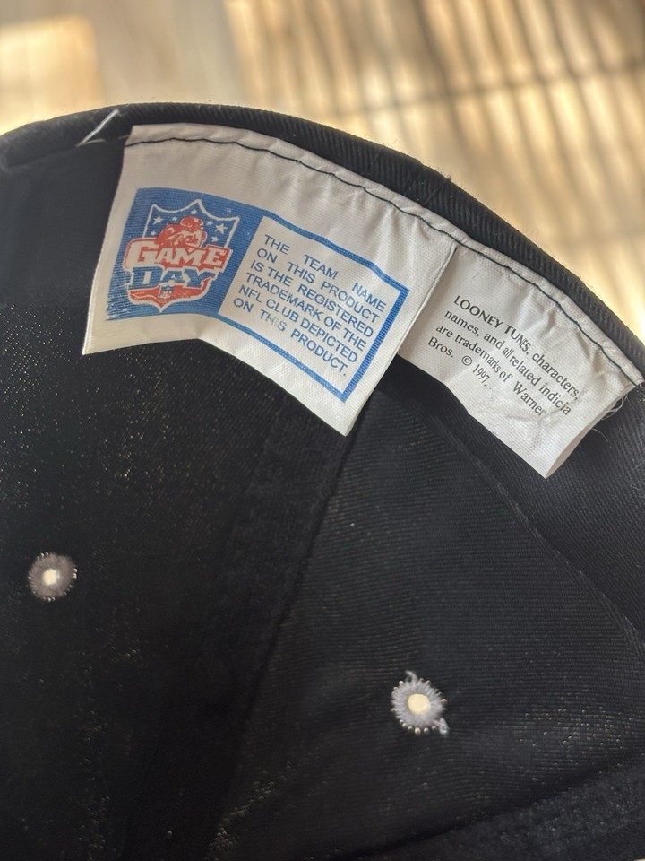 VTG Oakland Raiders Tasmanian Devil Hat Looney Tunes | eBay