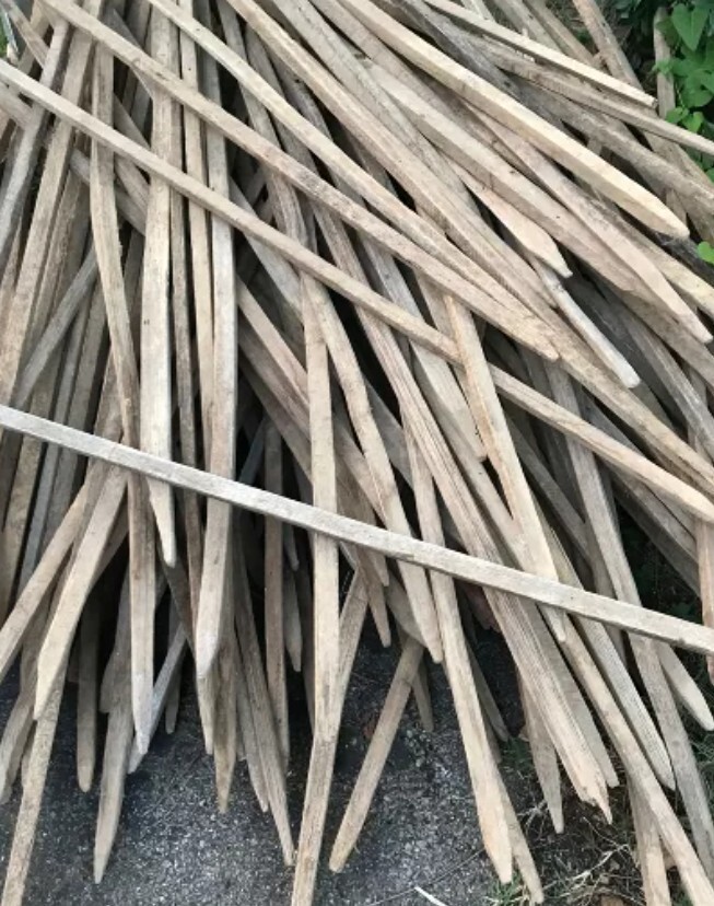 25 Easter Kentucky Tobacco Stick | eBay