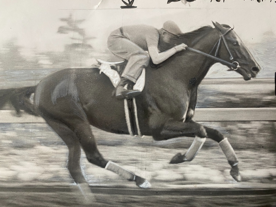 Original 1938 Press Photo HOF Racehorse "WAR ADMIRAL" Windener C C ...