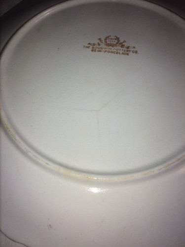 Two 10-Inch Floral Plates By Goodwin Pottery Co Semi Porcelain Est ...