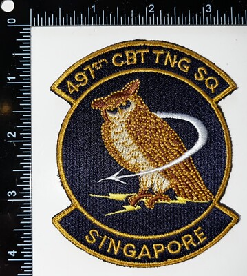 USAF 497th Combat Training Squadron Singapore Patch | eBay