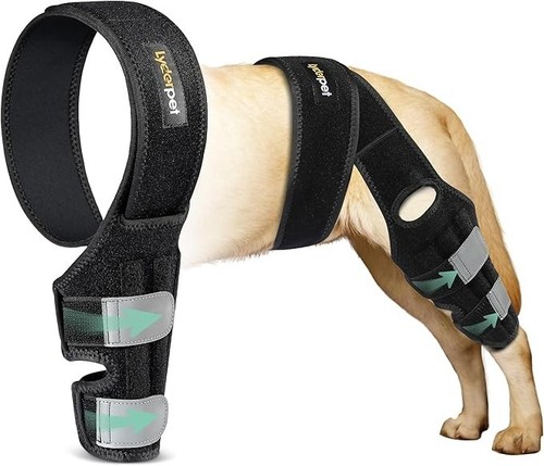 Lyderpet Dog Knee Brace for Torn ACL Hind Leg, Rear Leg Cruciate ...