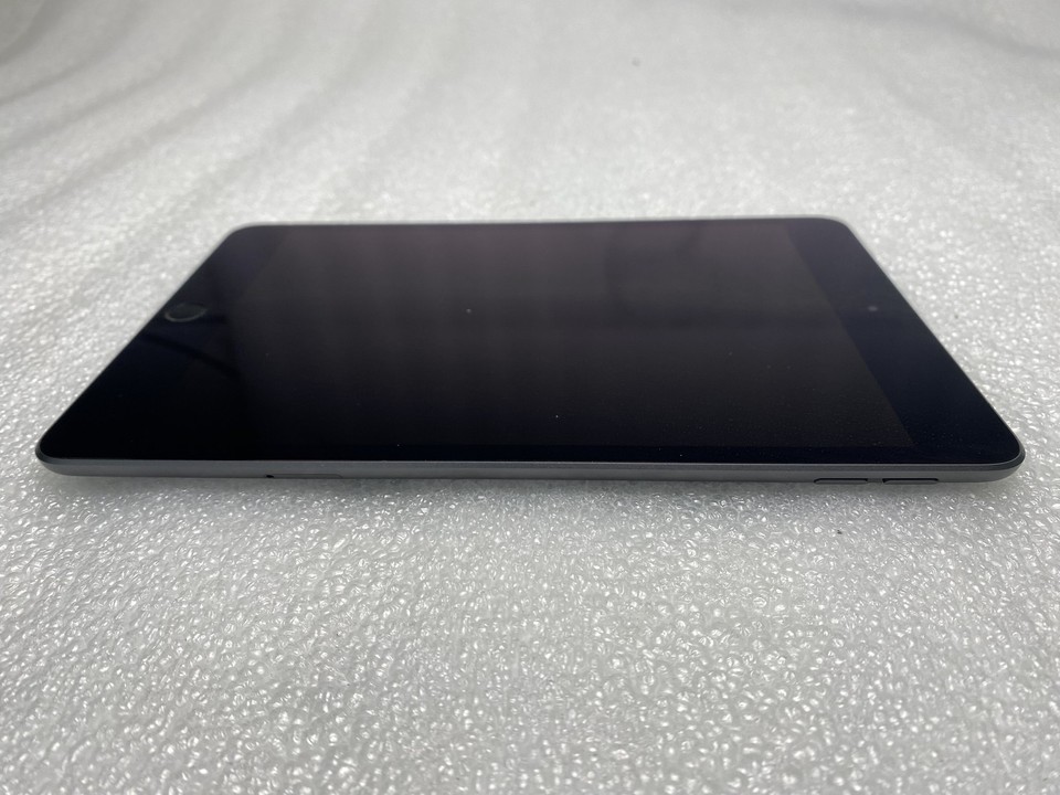 Apple iPad mini (5th Gen) (A2126) WiFi + Cellular Space Gray 256GB | eBay